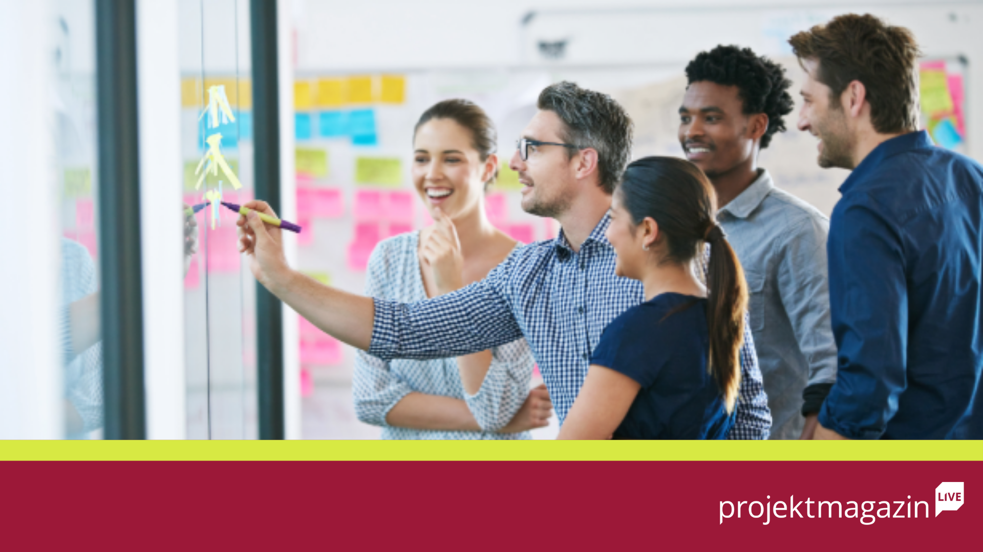 Aufbau, Wirkung & Weiterentwicklung des Project Management Office