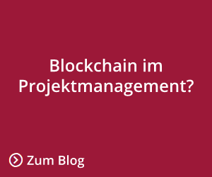 DIN 69901 Projektmanagement - Projektmanagementsysteme